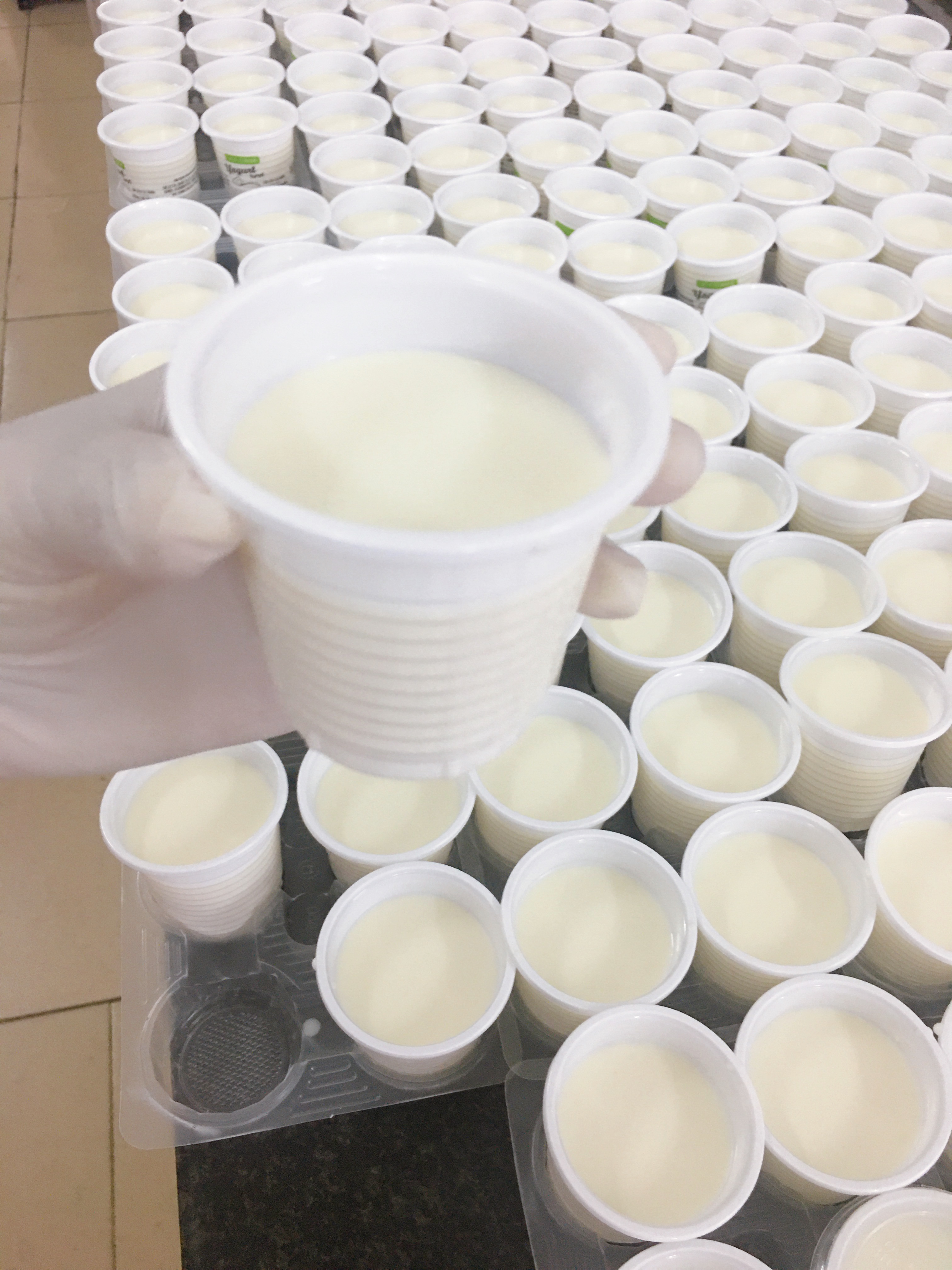 GIA CÔNG SỮA CHUA ĂN – Goodmilk